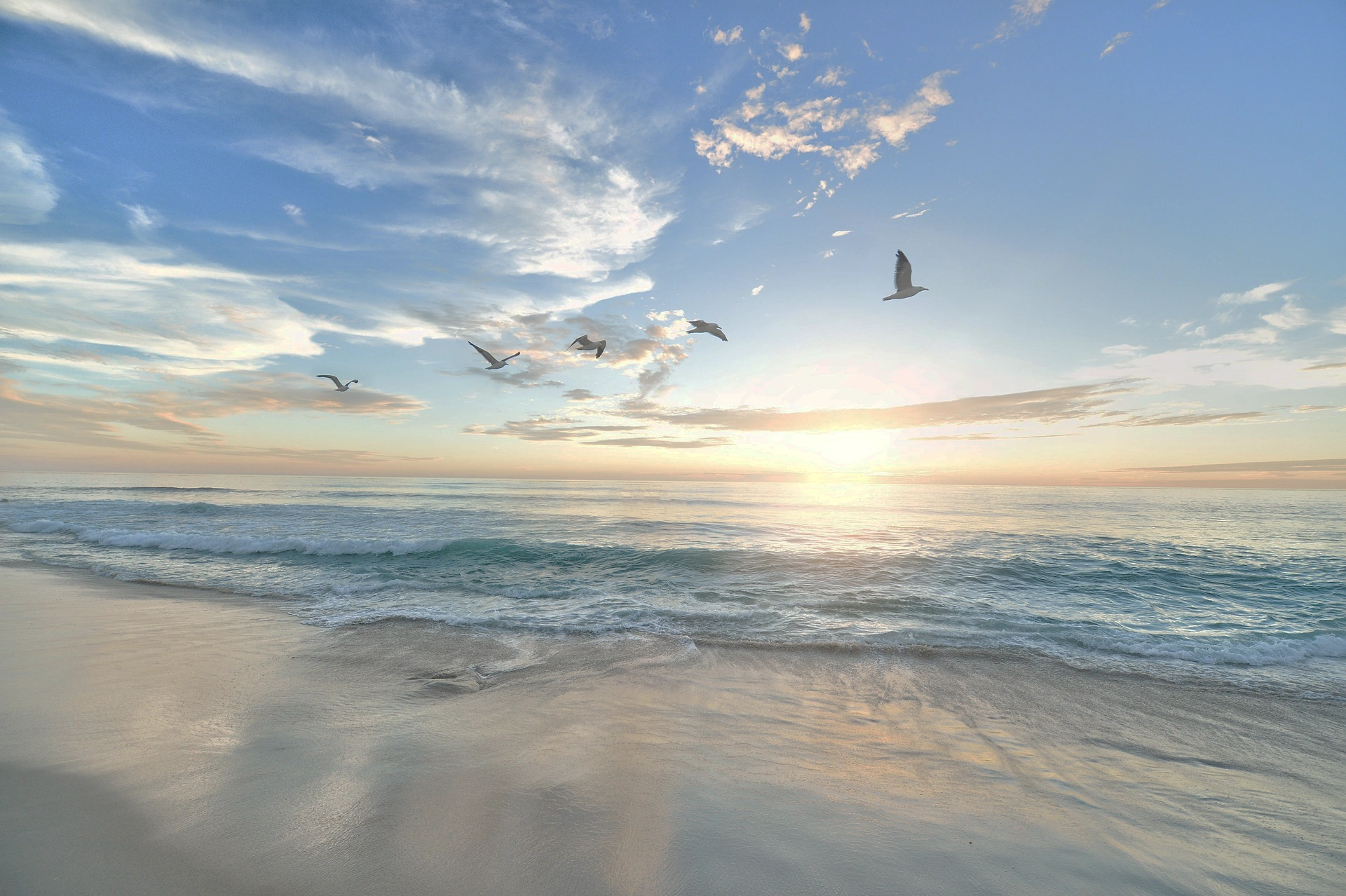 Latest News - Philippa Smethurst